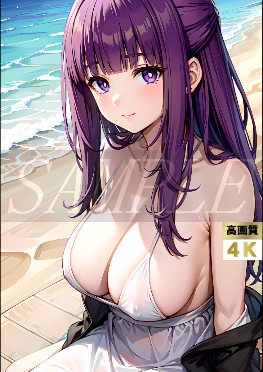 Yahoo!オークション - 葬送のフリーレン フェルン アニメ 同人 A4 写真...