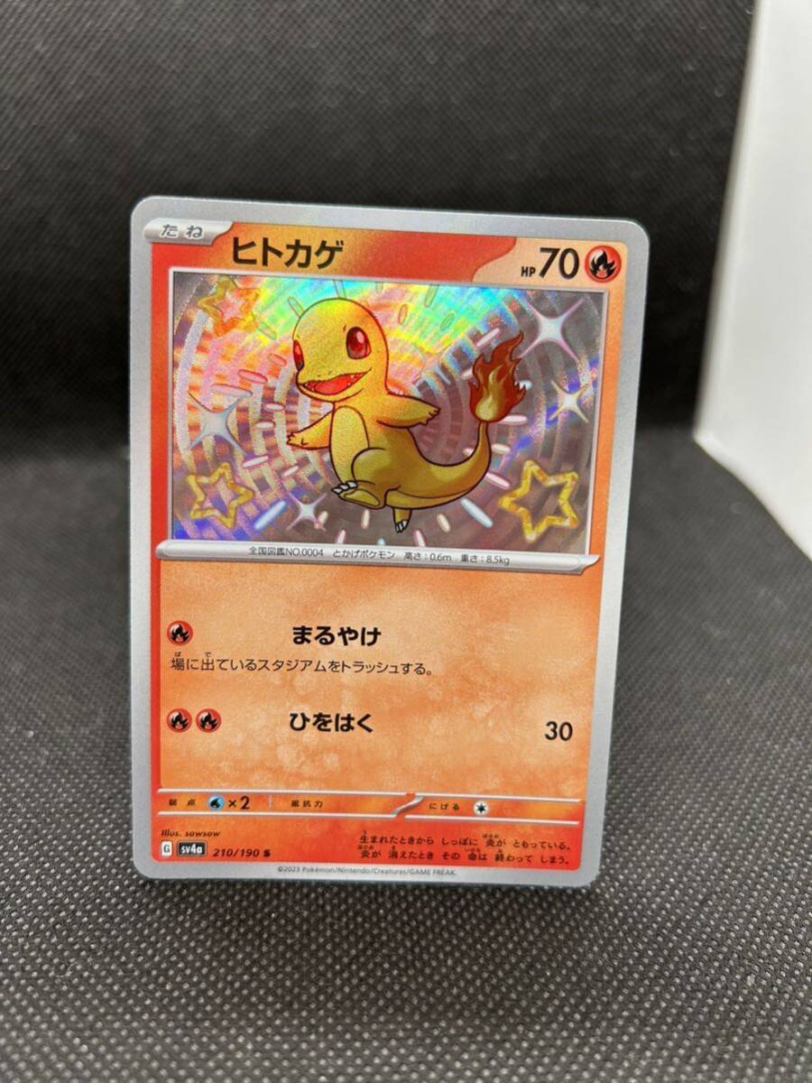 Yahoo!オークション - ポケモン ヒトカゲ 210/190 S SV4a 色違い