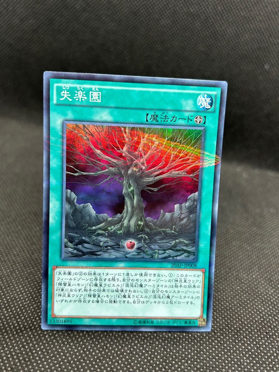 Yahoo!オークション - 遊戯王 失楽園 20AP-JP008 スーパー パラレル ...