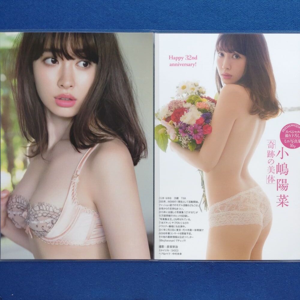 Yahoo!オークション - ラミネート加工 厚手 R2939 小嶋陽菜 16p 切り抜...