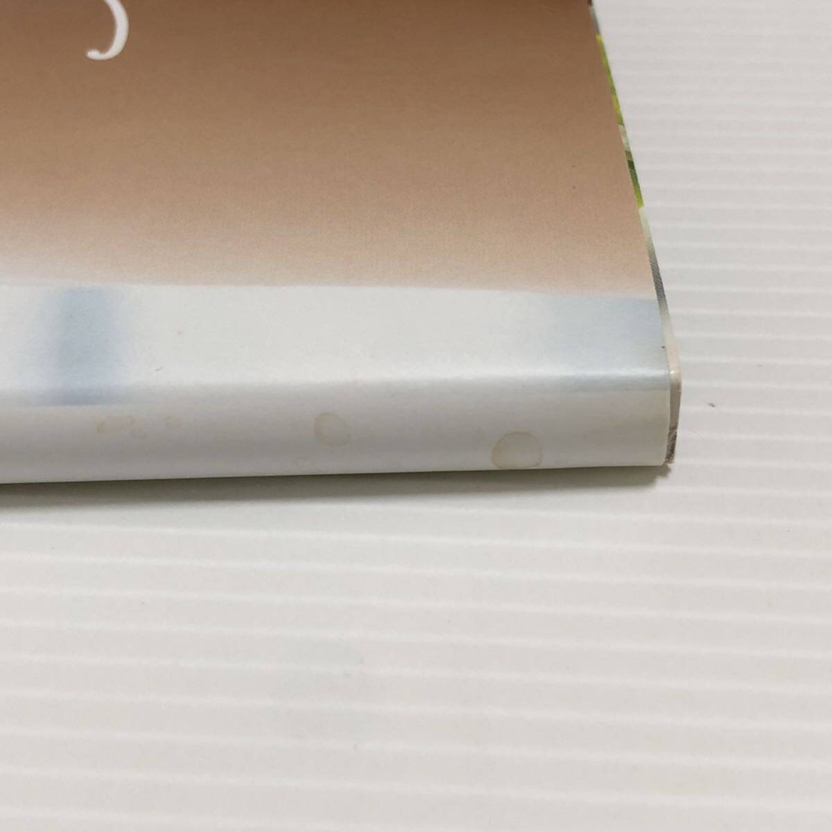 Yahoo!オークション - m501-0747-8 Lynn 1st写真集「りん」ミナトブッ...