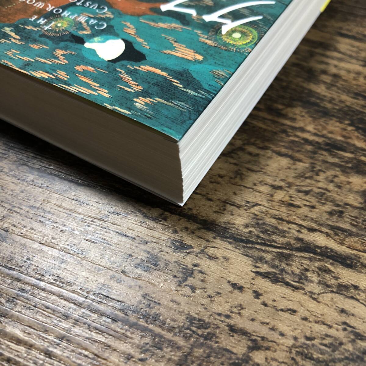 Yahoo!オークション - K-7329 クスノキの番人 (実業之日本社文庫) 帯付...