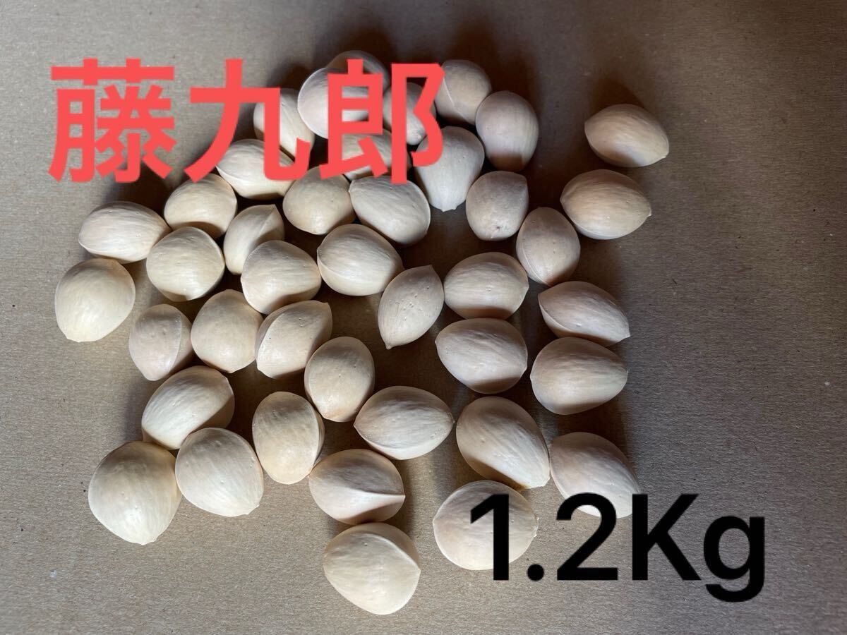 銀杏 藤九郎 1 2Kg ②｜Yahoo!フリマ（旧PayPayフリマ）
