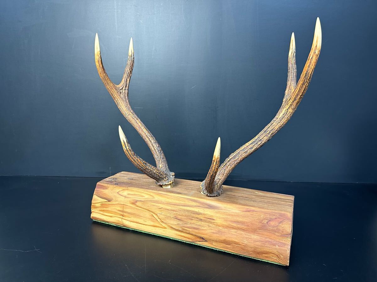 Yahoo!オークション - [B137] 刀掛け 鹿の角 二振り掛け 刀台 日本刀 ...