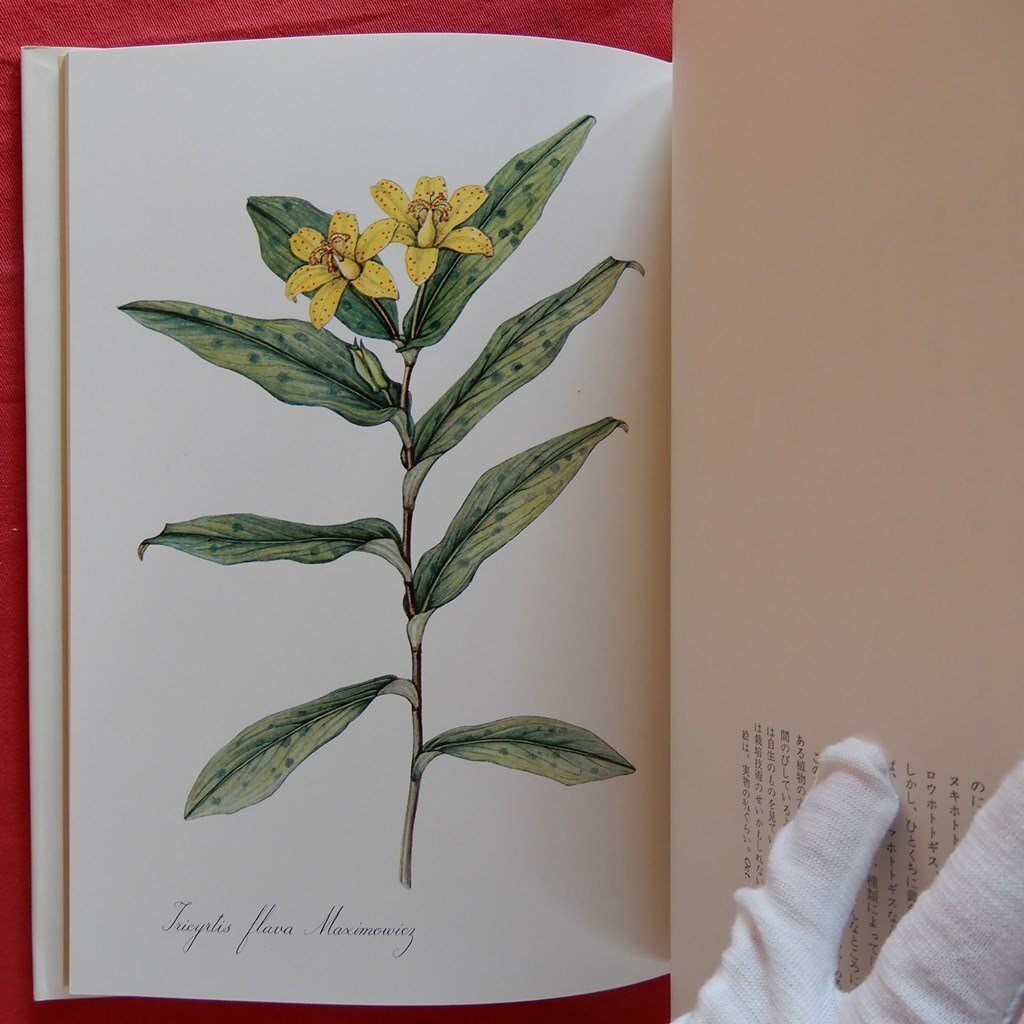 Yahoo!オークション - z75【佐藤達夫-花の画集 全3巻/東京新聞・昭和49...