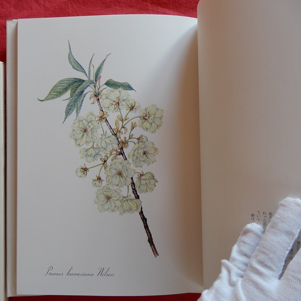 Yahoo!オークション - z75【佐藤達夫-花の画集 全3巻/東京新聞・昭和49...