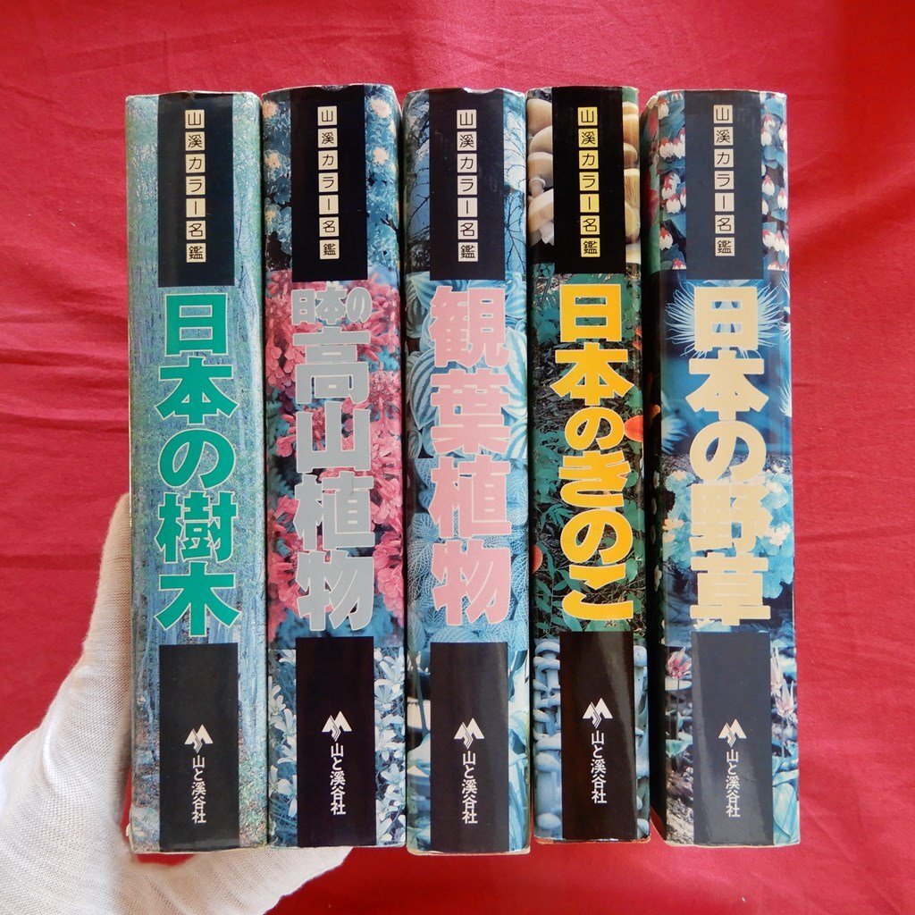 Yahoo!オークション - z58【山溪カラー名鑑 5冊セット 日本のきのこ・...