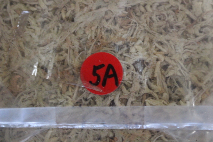 Yahoo!オークション - ニュージーランド産水苔 5A(AAAAA) 3Kg 即決で...