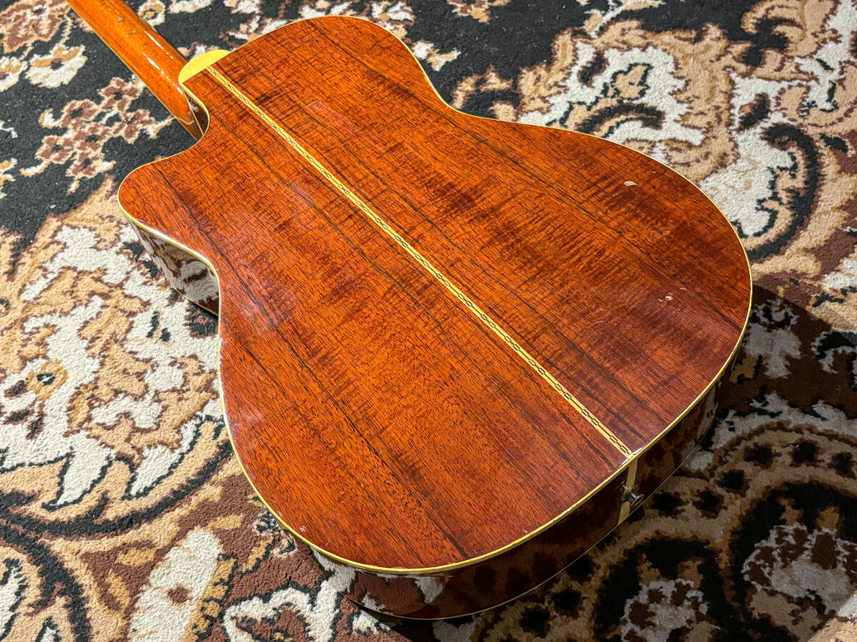 Yahoo!オークション - 1円〜【ジャパヴィン/訳有】 Takamine/タカミネ ...