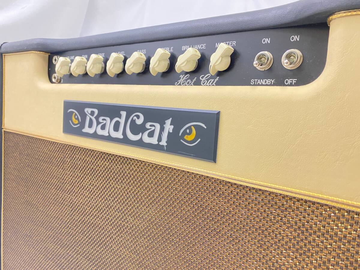 Yahoo!オークション - BADCAT HOTCAT Hi Gain 30W 12×2 バッドキャッ...