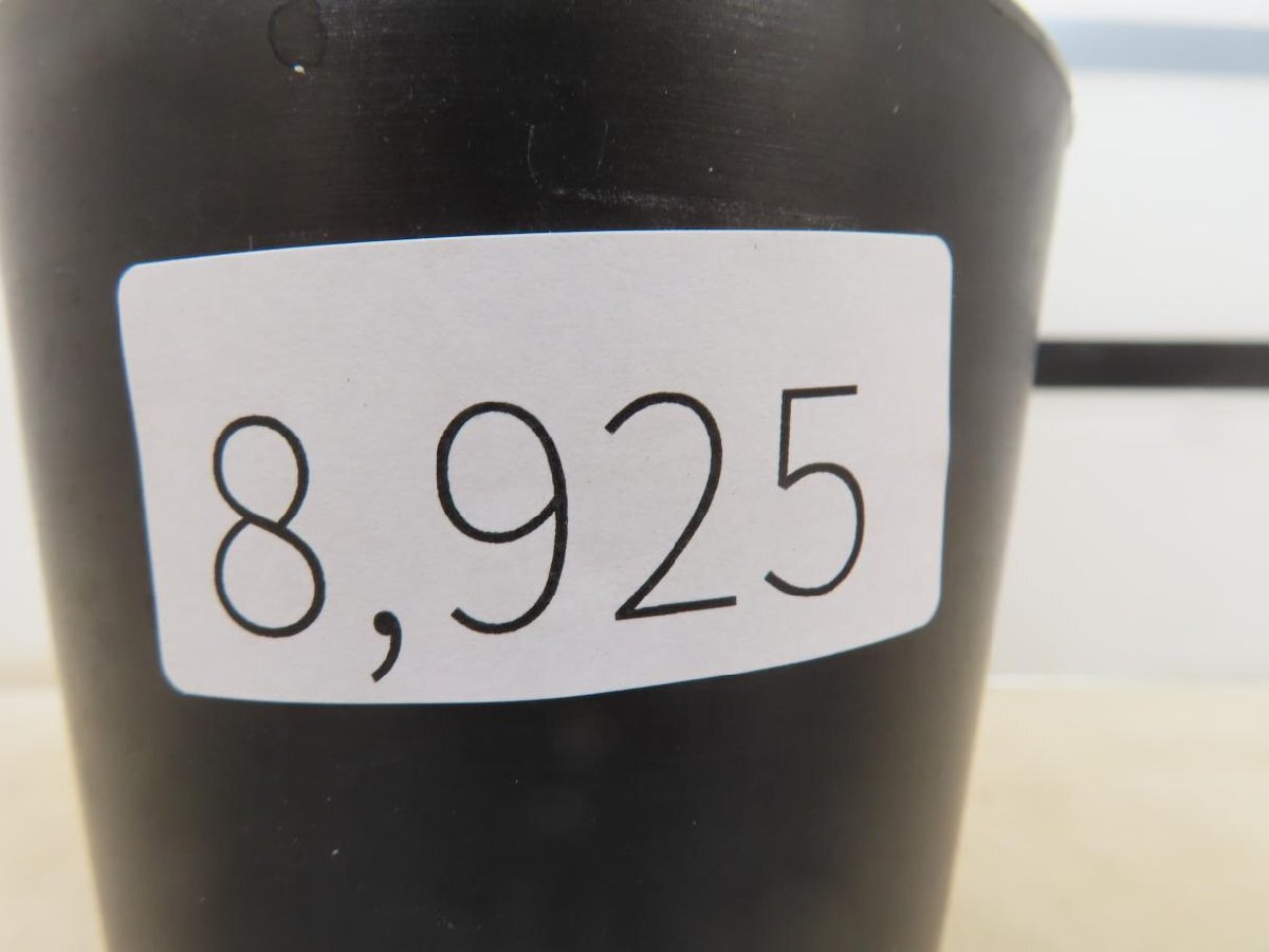 Yahoo!オークション - 8925 「塊根植物I」パキポディウム サウンデルシ...