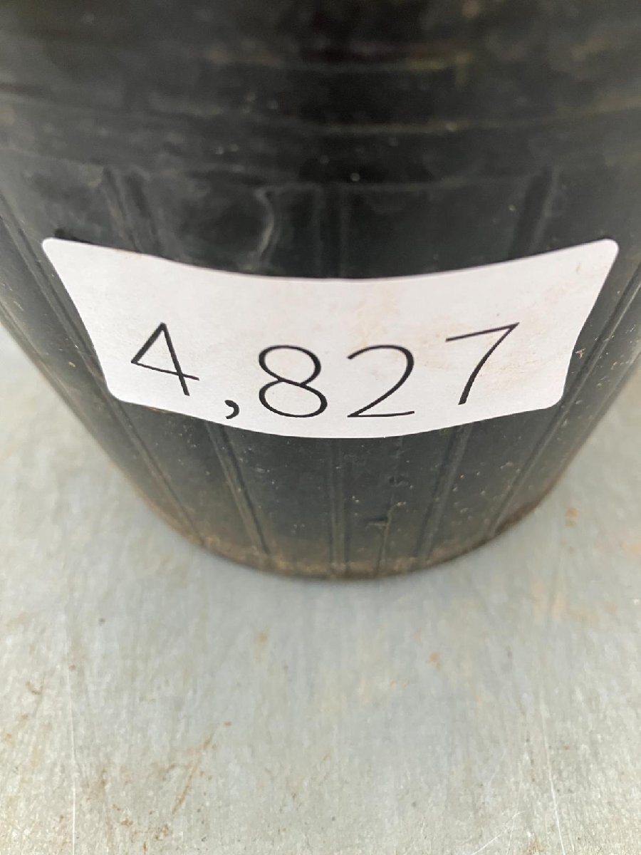 Yahoo!オークション - 4827 「果樹苗」イチジク ロングドゥート 植え【...