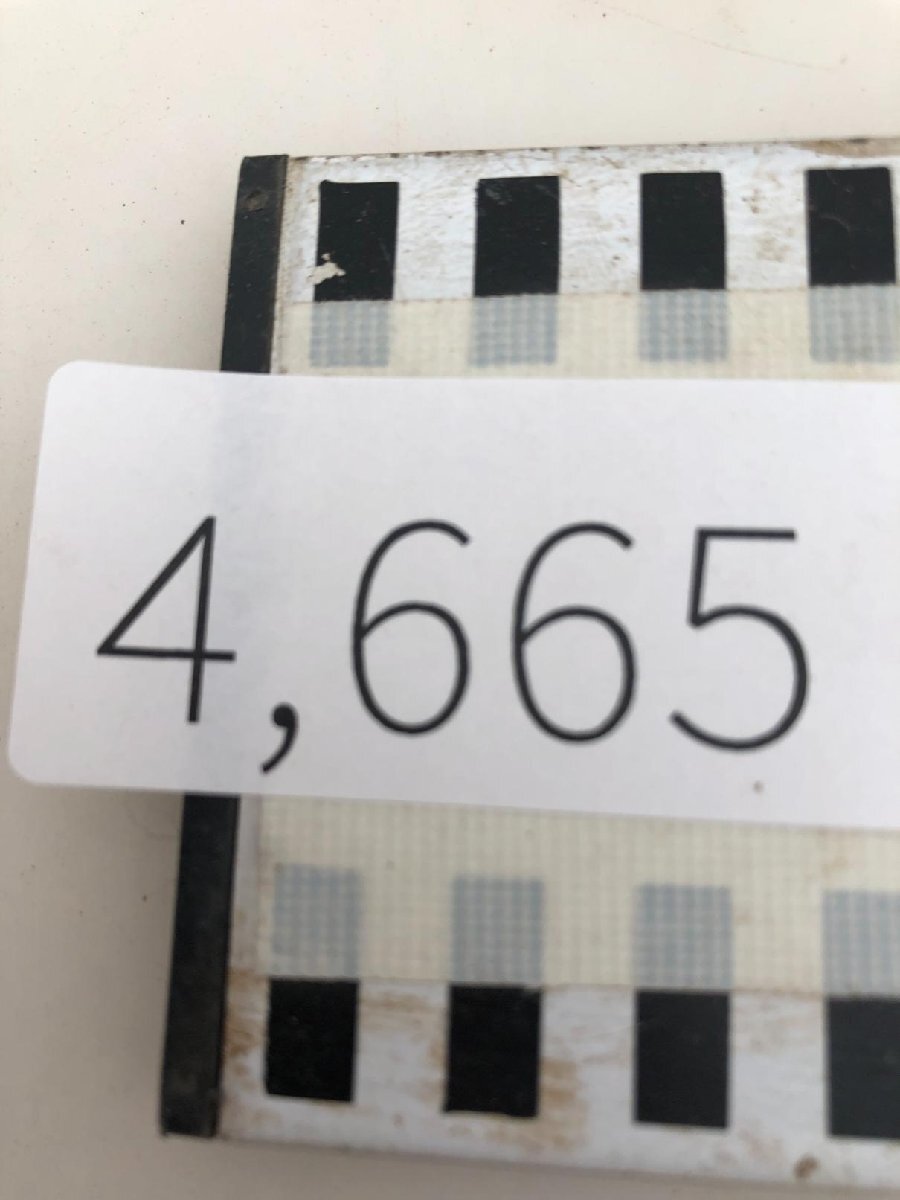 Yahoo!オークション - 4665 「多肉植物」ユーフォルビア ギラウミニア...