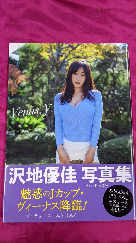 SY499 写真集 沢地優佳写真集 Venus，y(さ行)｜売買されたオークション情報、yahooの商品情報をアーカイブ公開 - オークファン（aucfan.com）