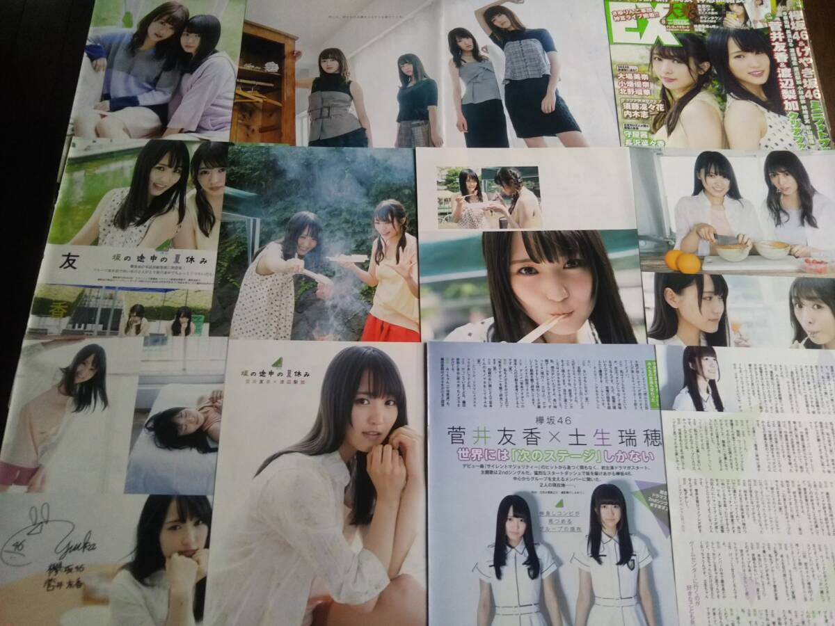 Yahoo!オークション - 欅坂46 菅井友香 桜井玲香 渡邉理佐 土生瑞穂 長...