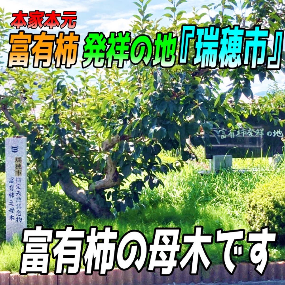 Yahoo!オークション - 『柿の王様富有柿』7キロ ご家庭でいかがですか