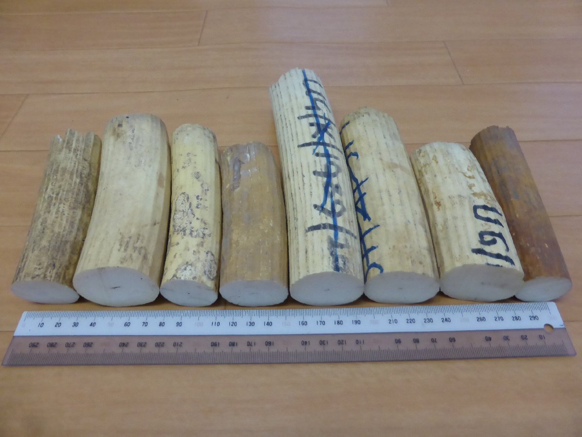 在庫整理品！スーパーSALE！★ カバ牙 カットピース/柄材 31点/3.4kg！（3，430g）擬餌餌、彫刻材、提物、パーツ、etc... 象牙の代用｜東洋彫刻