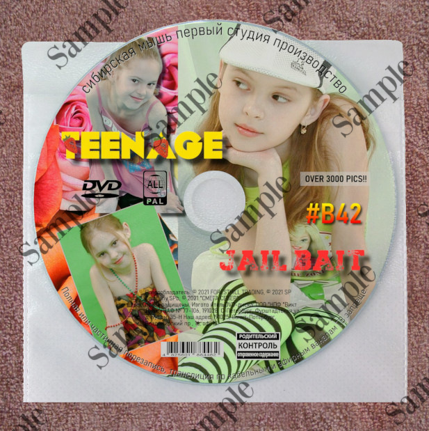 Yahoo!オークション - レア 正規品 TAJ-ディスク BUw24-JF-2n77 東欧...