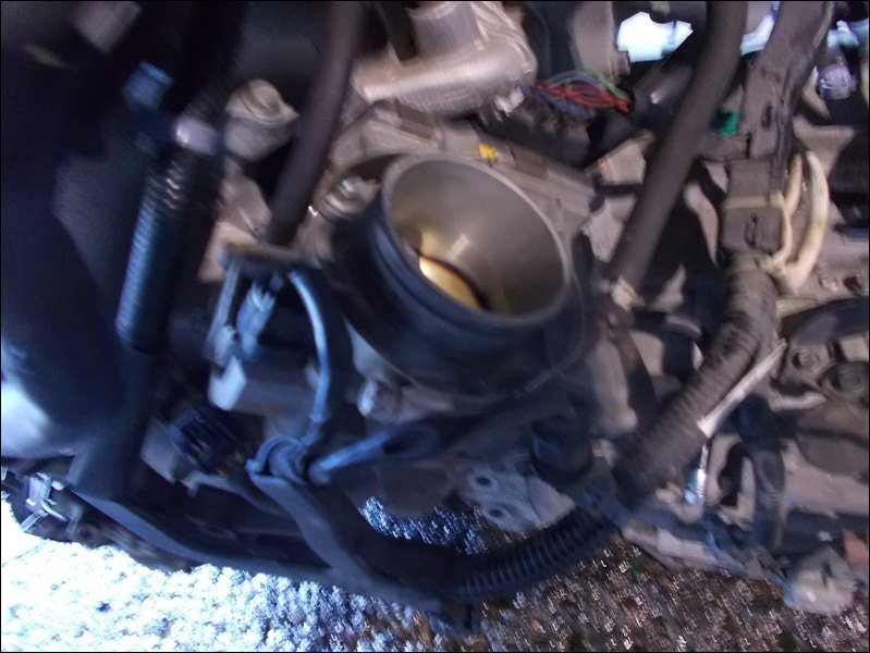 Yahoo!オークション - 『psi』 ホンダ RB1 オデッセイ アブソルート K2...