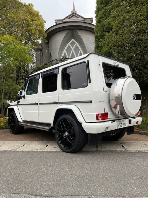 ベンツ ゲレンデ G350 ブルーテック 35thアニバーサリーモデル 限定70台 超美車 AMG 不具合無し ヤナセ点検記録簿付き 評価5点(Gクラス/ゲレンデヴァーゲン)｜売買された ...