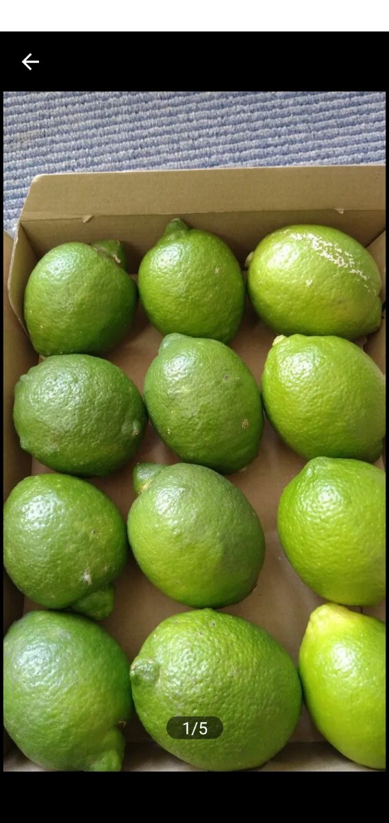 Yahoo!オークション - 瀬戸内レモン 農薬不使用1.2kg 12個