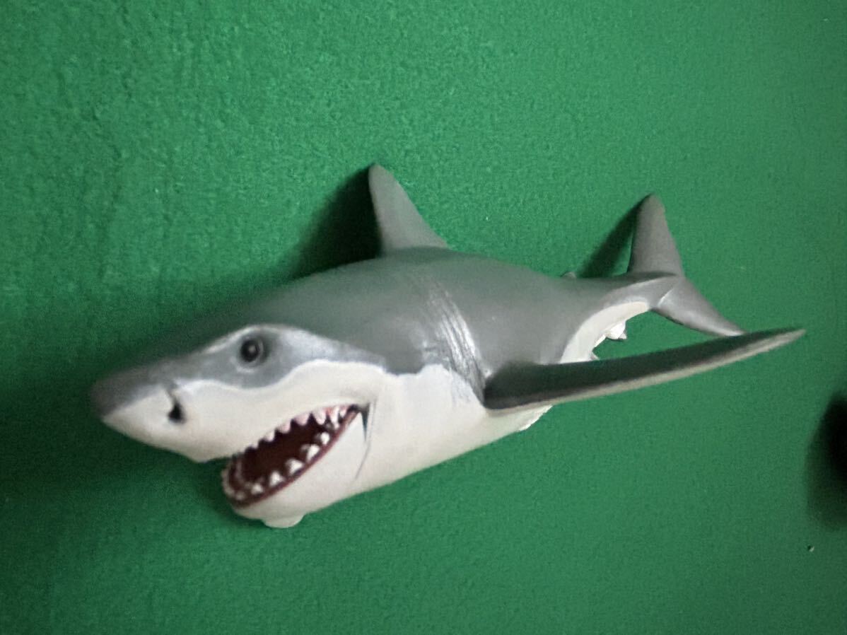 Yahoo!オークション - ホホジロザメ フィギュア DVD 本 sharks サメと...