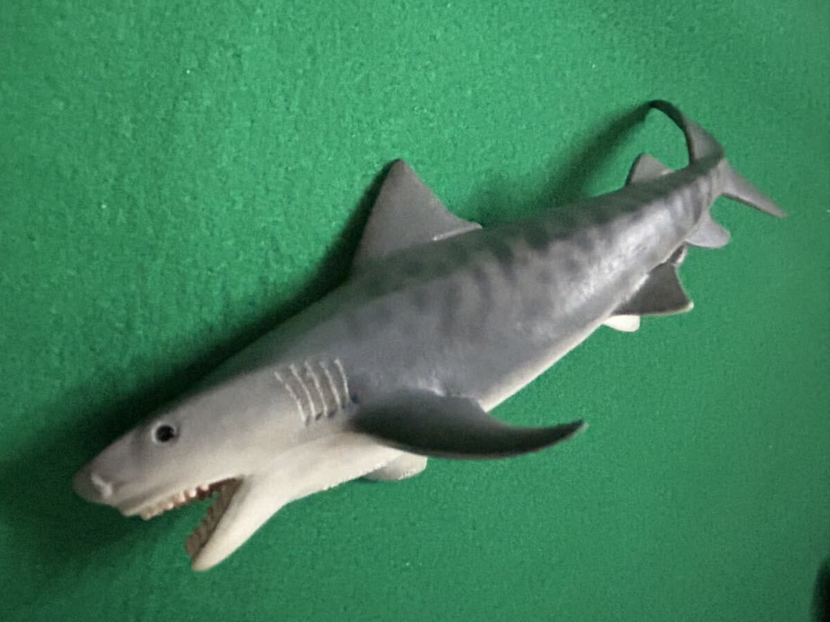 Yahoo!オークション - ホホジロザメ フィギュア DVD 本 sharks サメと...