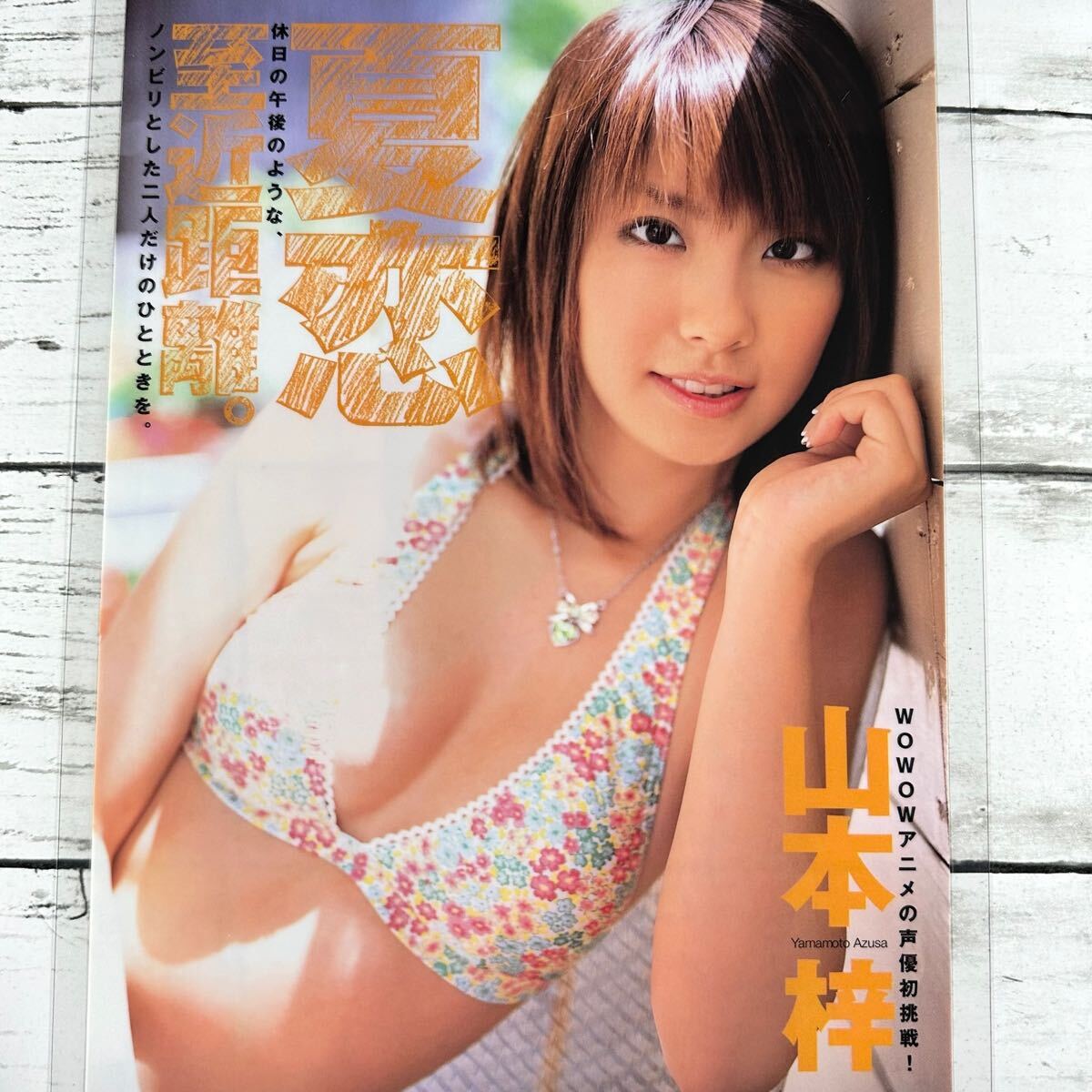 Yahoo!オークション - [高品質ラミネート処理][ 山本梓 ] 雑誌 切り抜...