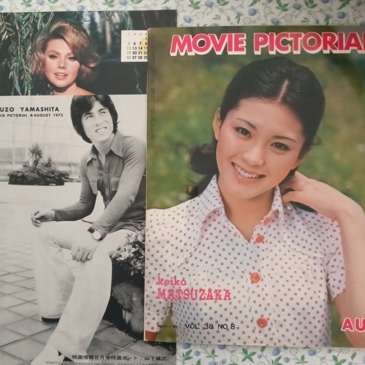 Yahoo!オークション - 1097 映画情報 1973/8 ブリジッドバルドー 松坂...