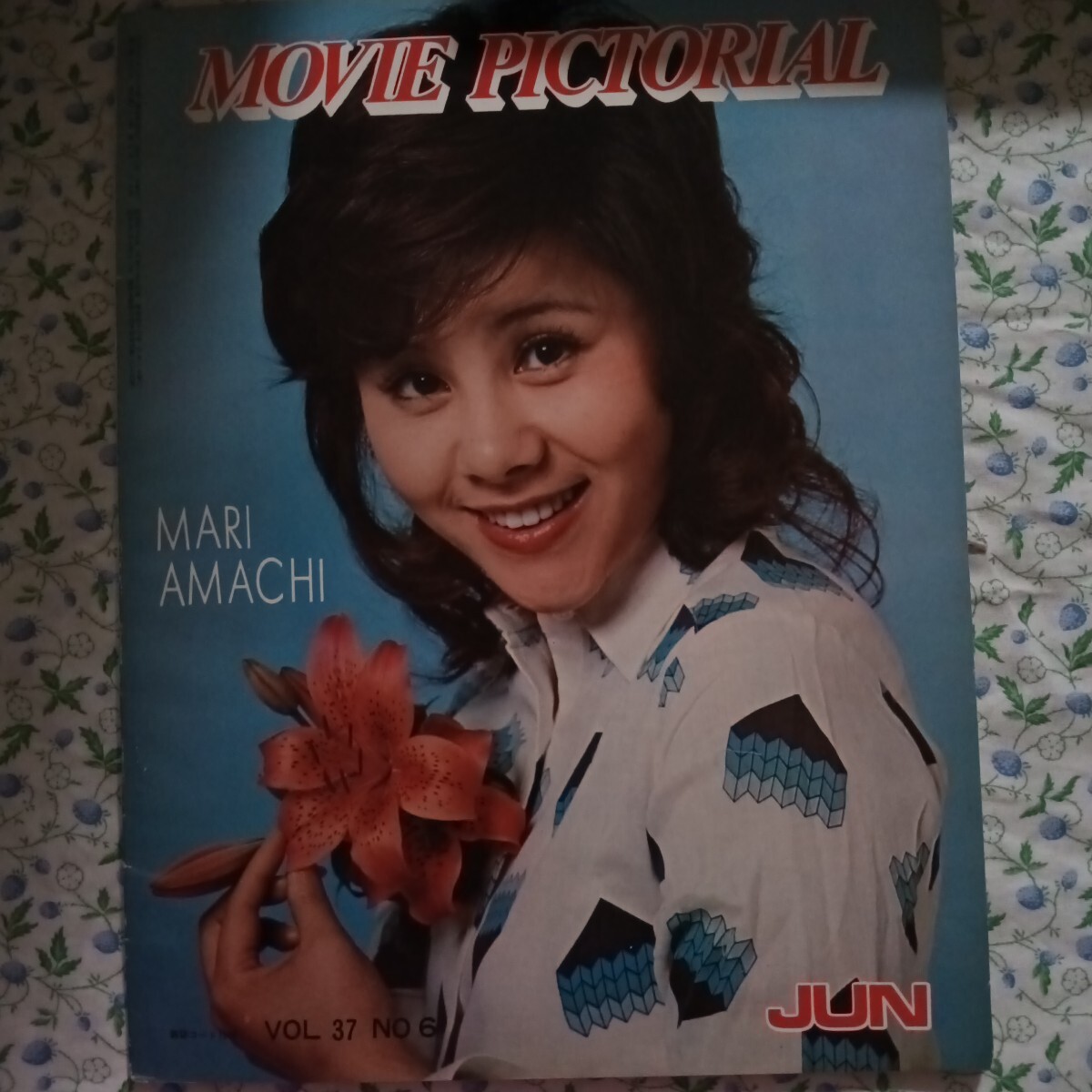 1138 映画情報1972年 6月号 天地真理 奥村チヨ 栗原小巻 杉本美樹 かずみあい 水着(その他)｜売買されたオークション情報、yahooの商品情報をアーカイブ公開 - オークファン ...