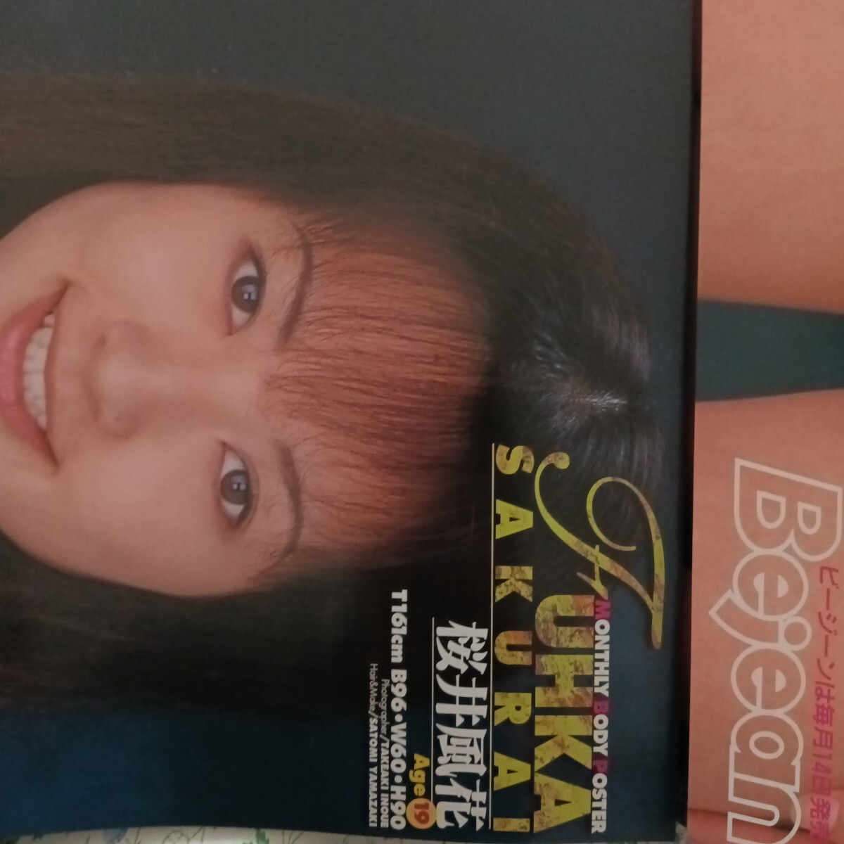 Yahoo!オークション - 1180 Bejean ビージーン 1999年9月 桜井風花等身...