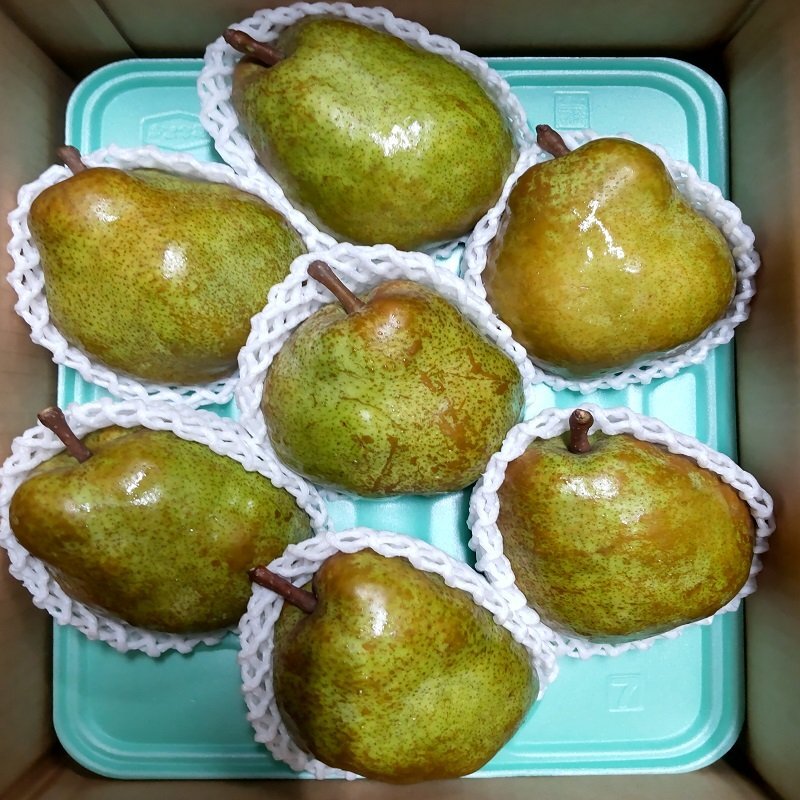 Yahoo!オークション - ラ・フランス 山形県産 贈答用 3kg 大玉 5L 7玉...