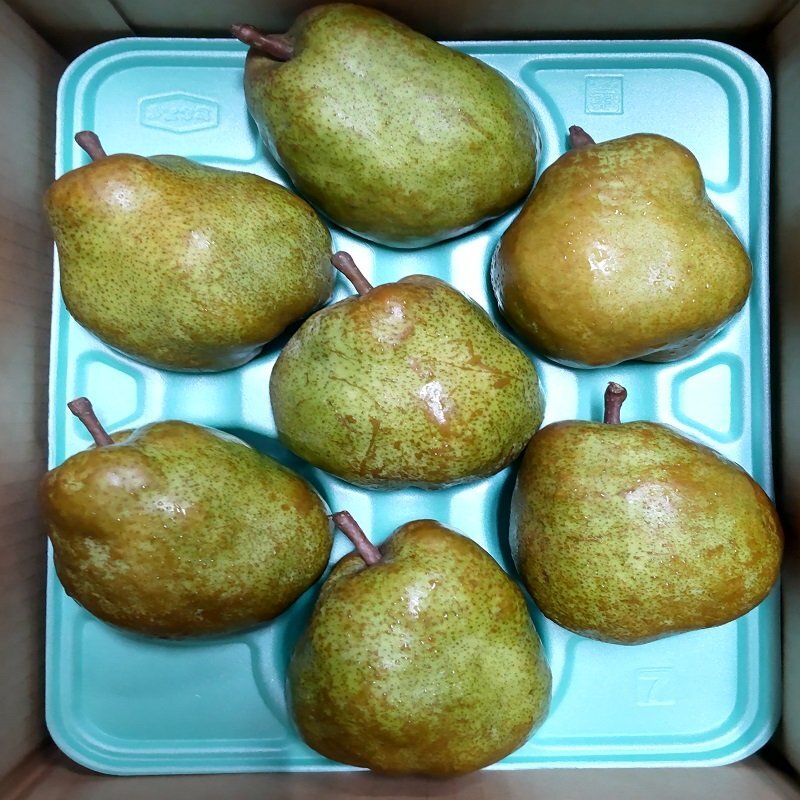 Yahoo!オークション - ラ・フランス 山形県産 贈答用 3kg 大玉 5L 7玉...