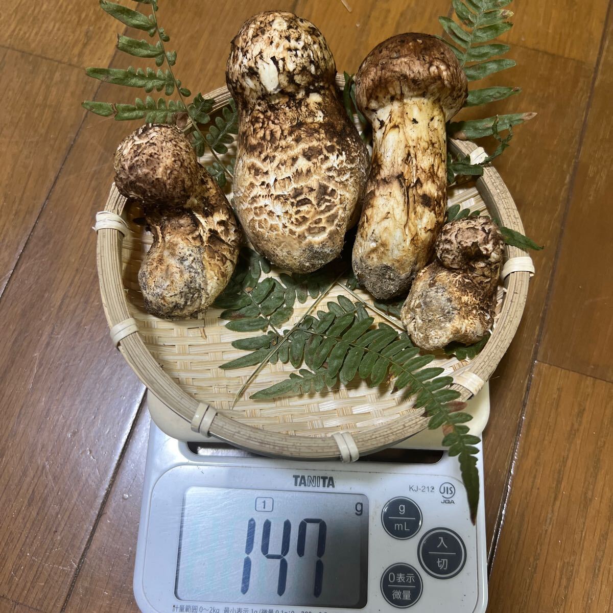 Yahoo!オークション - 岩手県産 松茸 147g 天然