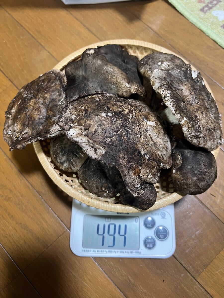 Yahoo!オークション - 岩手県産 494g 天然 クロカワ