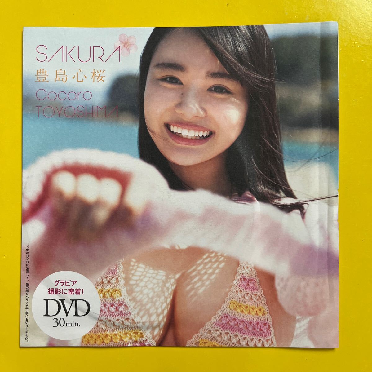Yahoo!オークション - 【プレイボーイ付録DVD】豊島心桜 『SAKURA』 20...