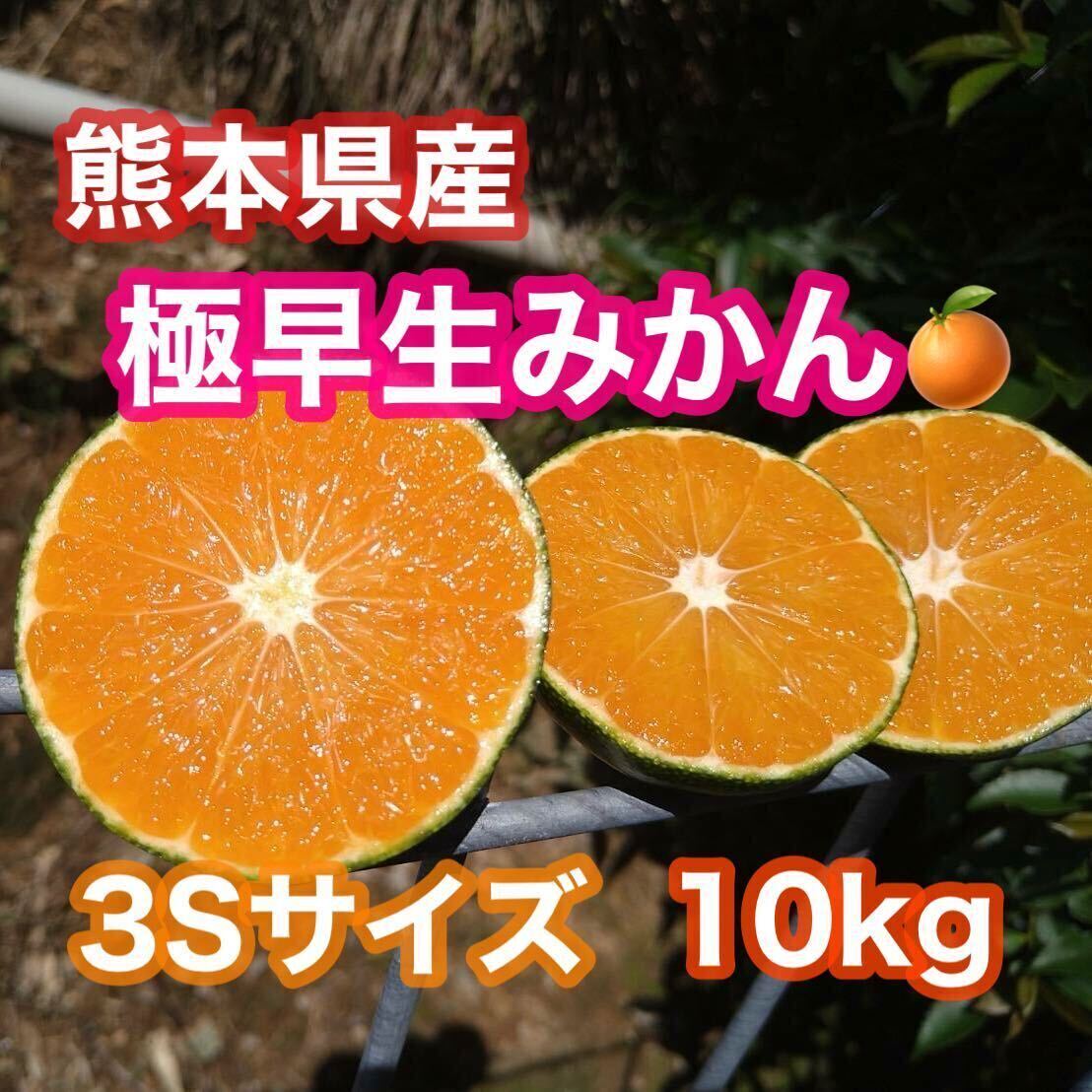 Yahoo!オークション - 熊本県産 極早生みかん 3Sサイズ 10kg(送料無料)