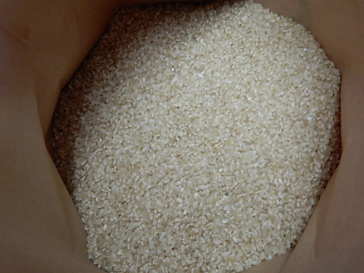 Yahoo!オークション - R6年 新米玄米10kg