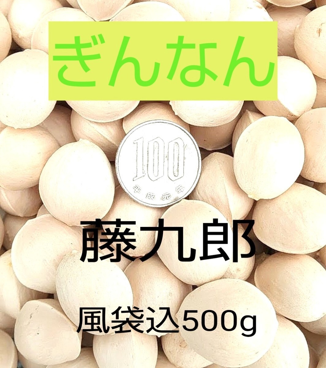 Yahoo!オークション - 24年産 ぎんなん 藤九郎 L~3L 500g 風袋込