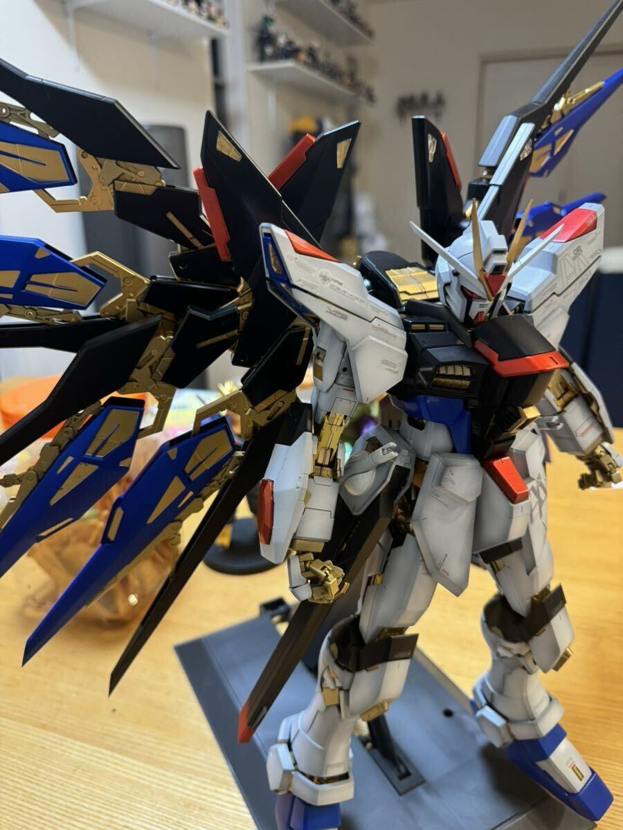 Yahoo!オークション - PG1/60ストライクフリーダム全塗装 完成品