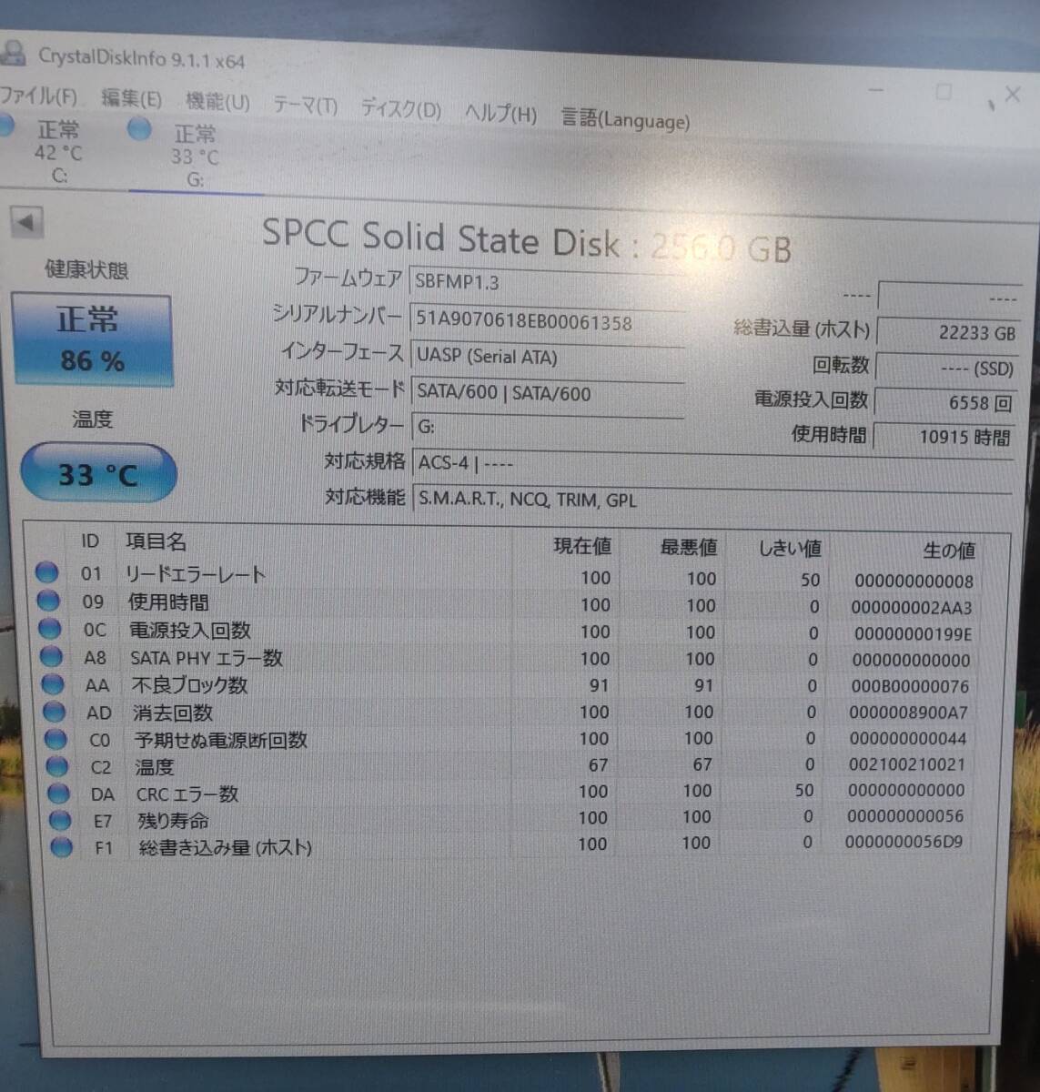 Yahoo!オークション - SPCC Solid State Disk A55 256GB 動作品