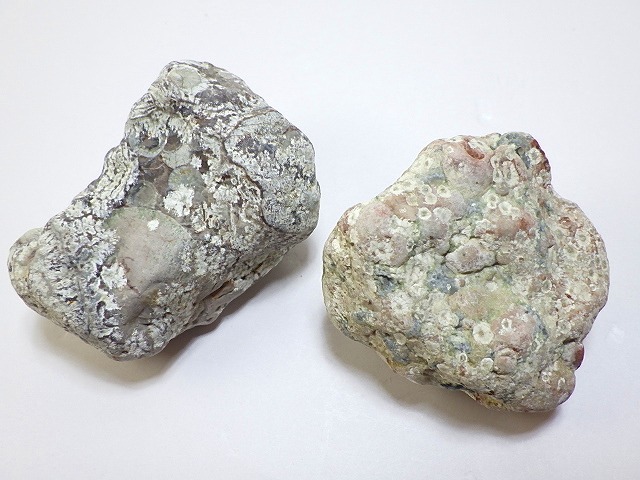 Yahoo!オークション - 天然石 化石のような石たちまとめ 貝化石 巻貝 ...