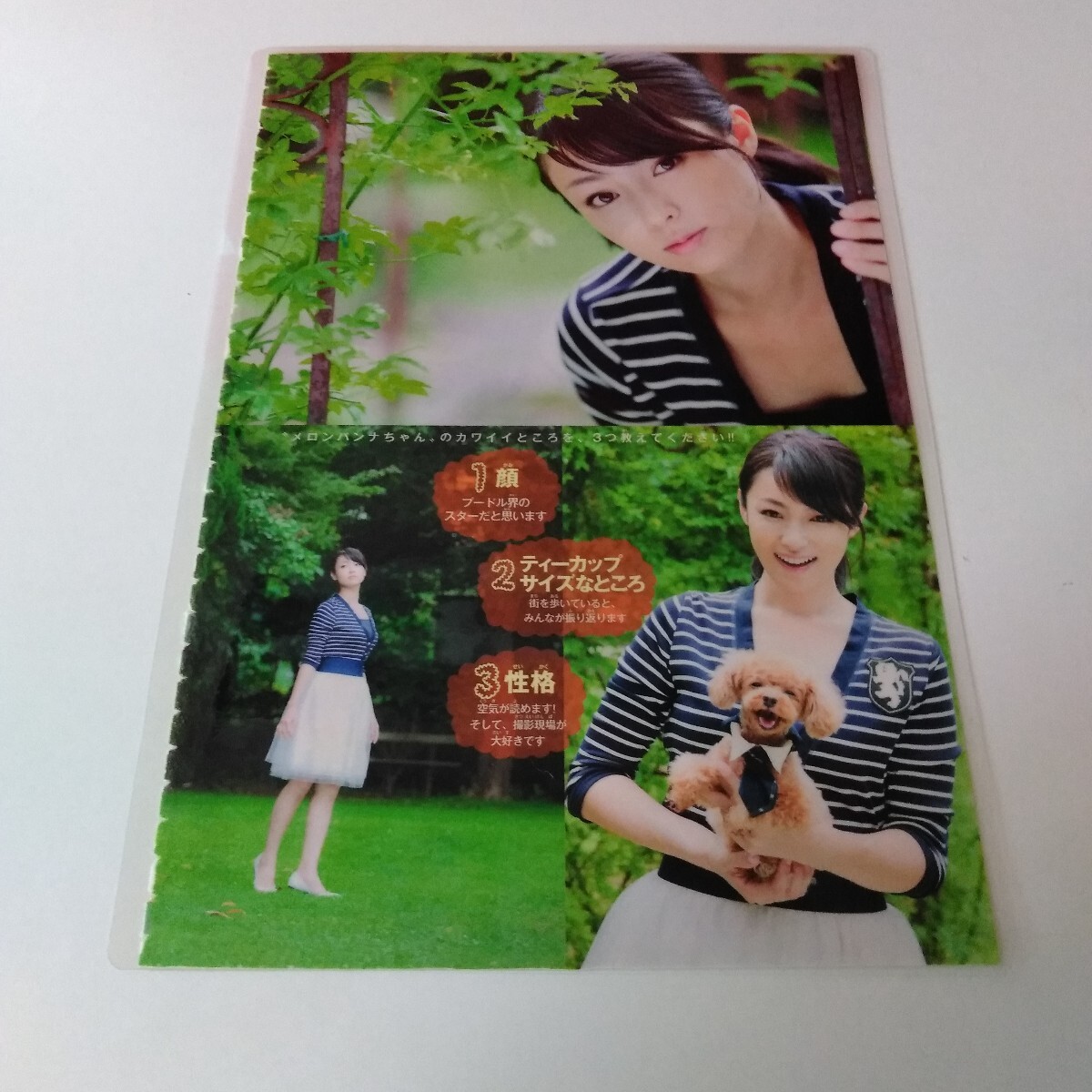 Yahoo オークション や 083『雑誌グラビア ラミネート加工』『深田恭