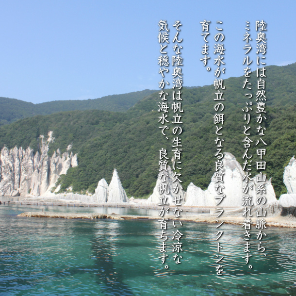 Yahoo!オークション - 珍味 おつまみ 磯焼ほたて貝 110g×2袋 いそやき...