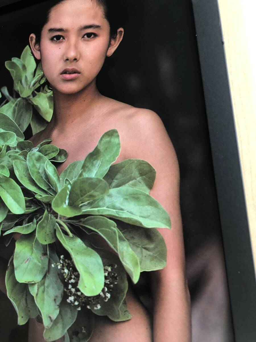 kj 額装品 斉藤慶子 グラビア セクシー セミヌード B5額入り ポスター風デザイン 写真 女優 キャンギャル ノーブラ アイドル(印刷物)｜売買されたオークション情報、yahooの商品情報 ...
