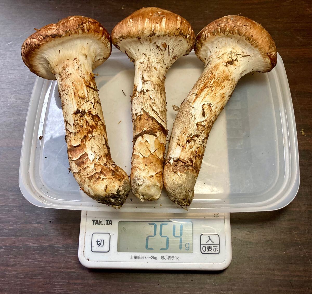 Yahoo!オークション - ①【国産松茸】254g長野産の採れたてマツタケを...