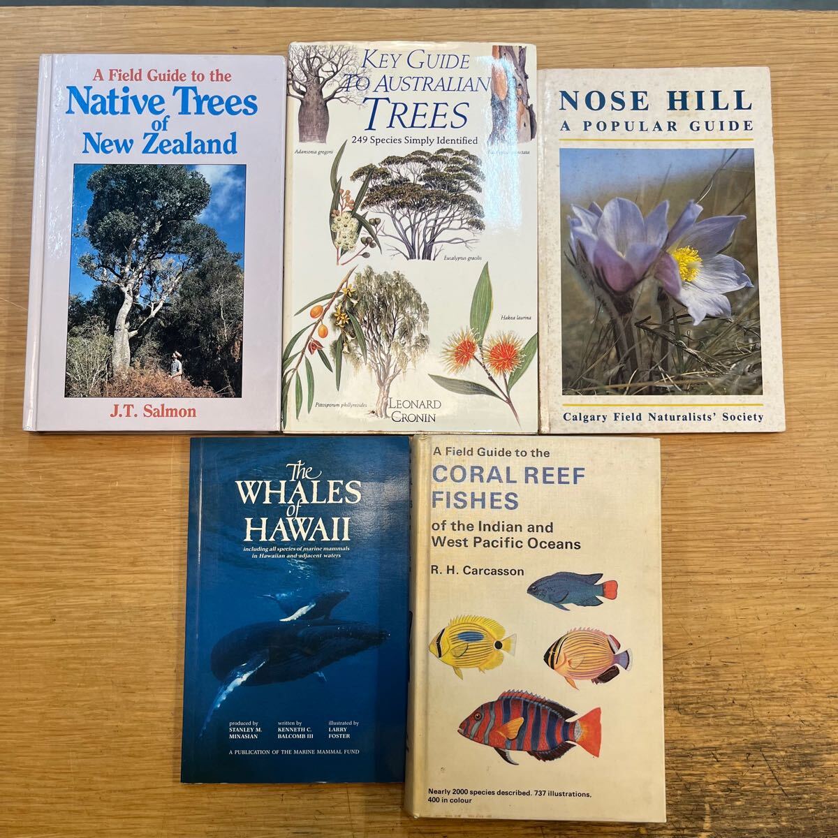 Yahoo!オークション - s1008-2.洋書まとめセット/ディスプレイ/インテ...