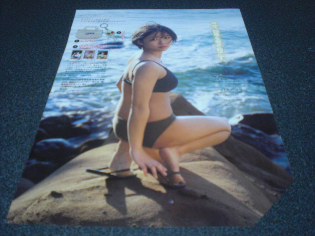 Yahoo!オークション - 桑島海空 切り抜き 37P(6誌分)