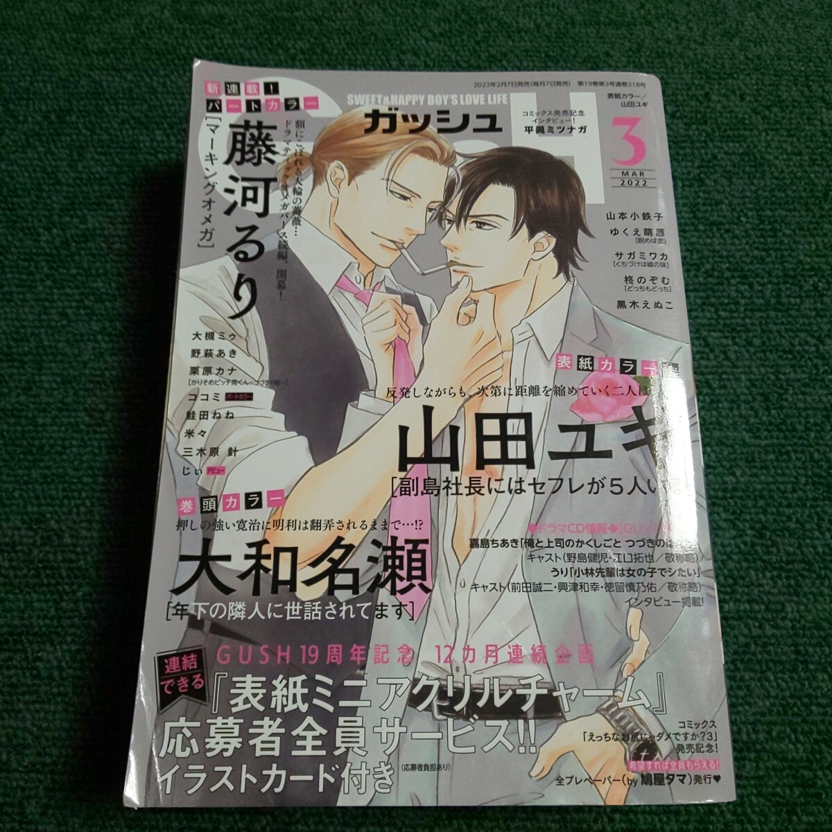 Yahoo!オークション - GUSH（ガッシュ） 2022年3月号 藤河るり・山...