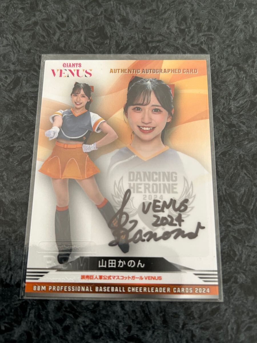 Yahoo!オークション - 2024 BBM プロ野球 チアリーダー DANCING HEROIN...